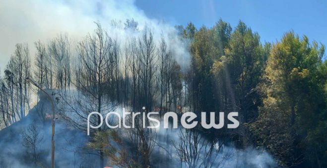 Σε εξέλιξη πυρκαγιά στην Αρχαία Ολυμπία (εικόνες - βίντεο) - Kalimera ...